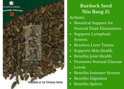 Arctium / Burdock Seed (Niu Bang Zi) Whole Form